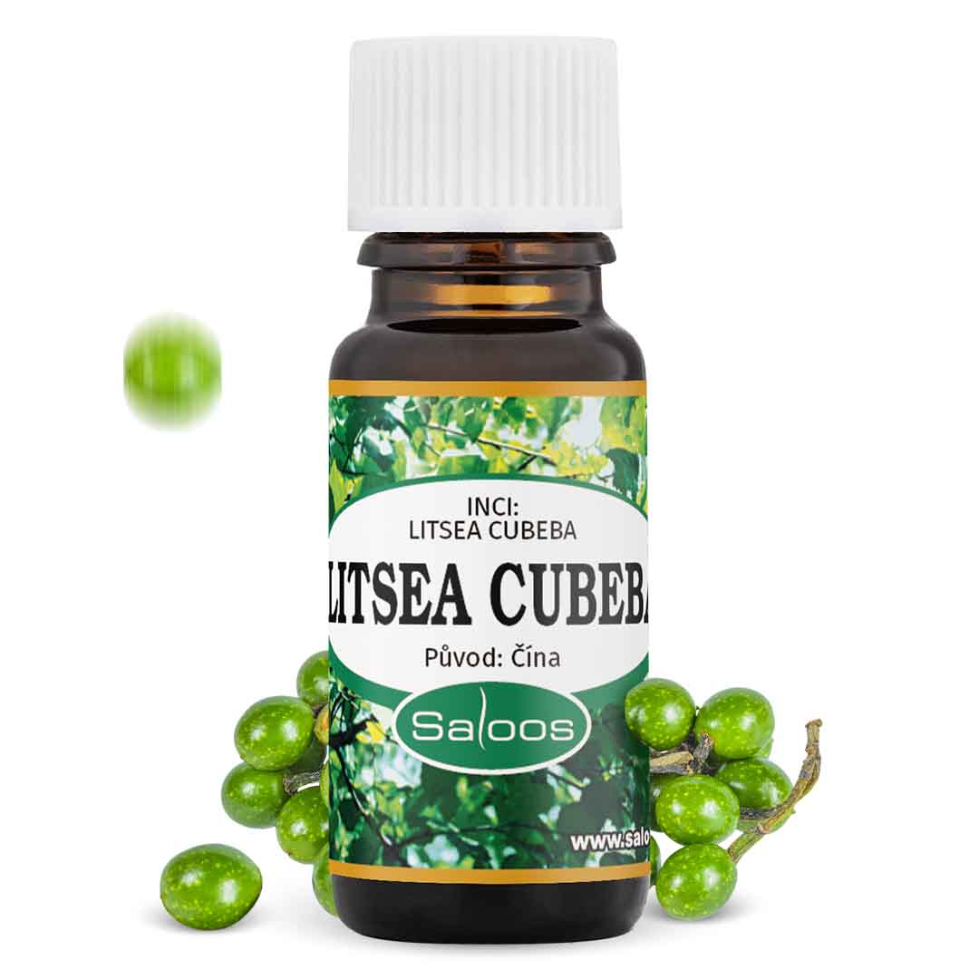 Litsea cubeba - Saloos.cz