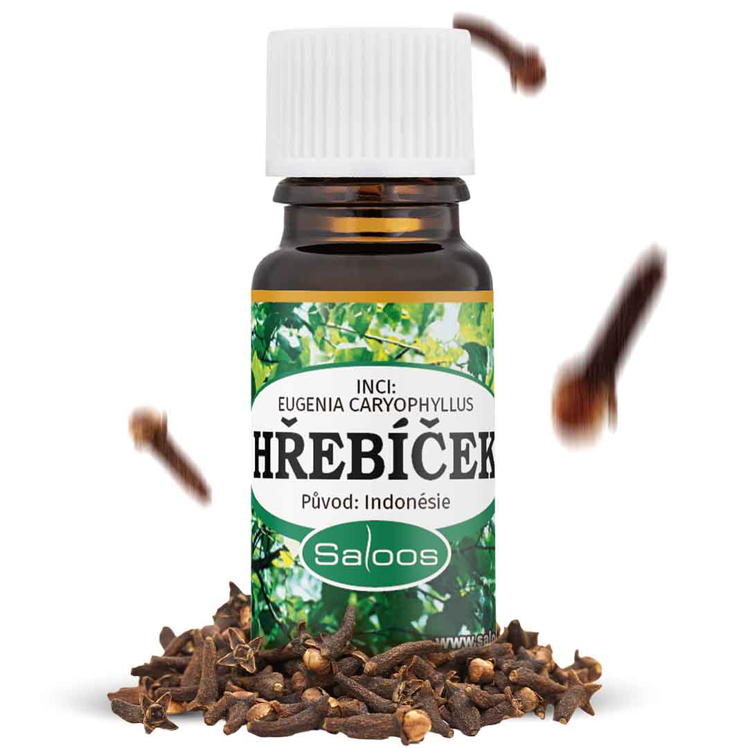 Hřebíček - Saloos.cz